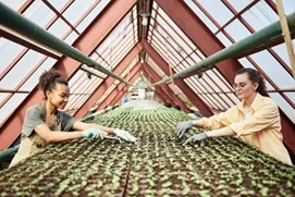 Aviculteur / Avicultrice | Fiche métier | Option Métier